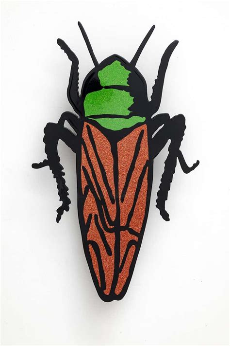Tom Binger Cockroach At 1stdibs