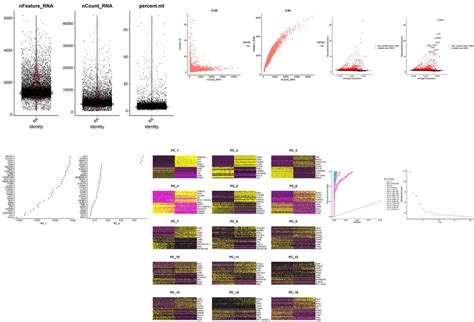 Characterization Of Single Cell Sequencing Data From Peripheral Blood Download Scientific