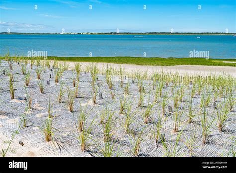 Beach Erosion Protection