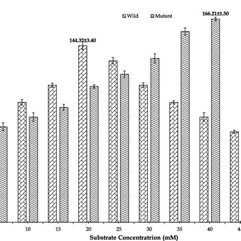 Effect Of Different Substrate Concentrations On The Xylanase Activity