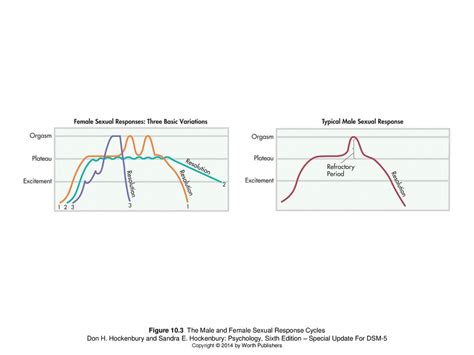 Special Update For DSM Ppt Download