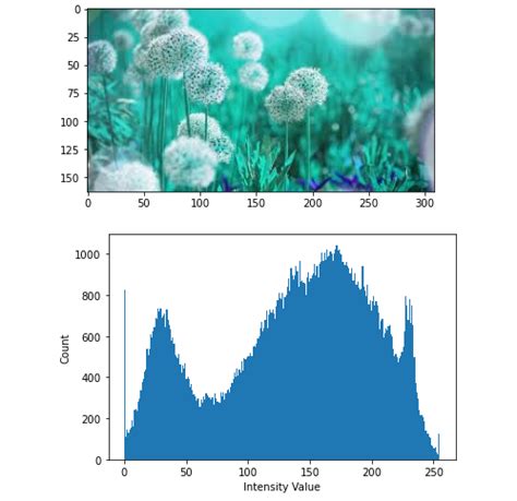 GitHub Bhavyashree Image Processing