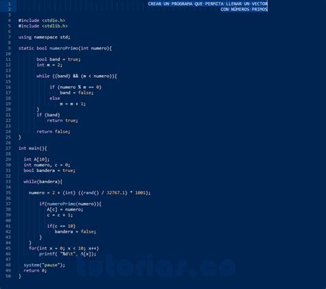 Vectornumerosprimosc