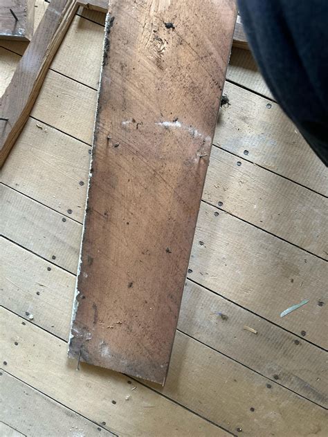 Wood Species Identification R Diy