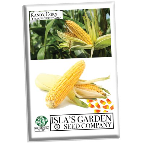 Corn Seeds Packet