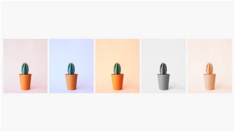 Ppt 기본 35 Ppt 그림 밝기색깔채도명도 조절하기 Ppt그림사진색깔바꾸기 파워포인트 그림사진 색깔바꾸기