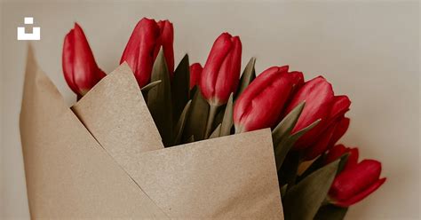 갈색 종이 봉지에 빨간색과 녹색 꽃잎 사진 Unsplash의 무료 꽃 이미지