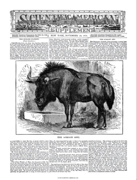 issue archive 1879 scientific american