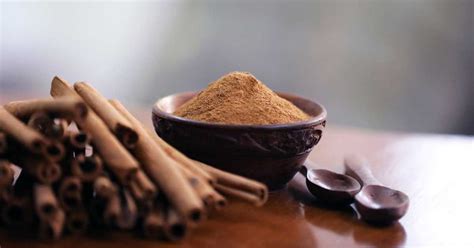 Does Harvesting Cinnamon Kill The Tree Talk Leisure