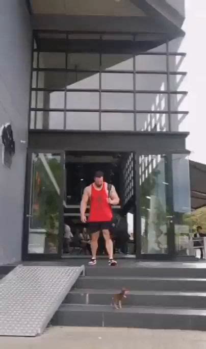 Video Memes Qzeo F Ca By Nesaar Comments Americas Best Pics And Videos Humor Grappig