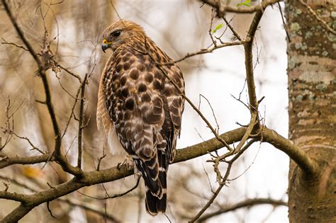 Poetry Friday Fibonacci Poems A Nother Year Of Reading