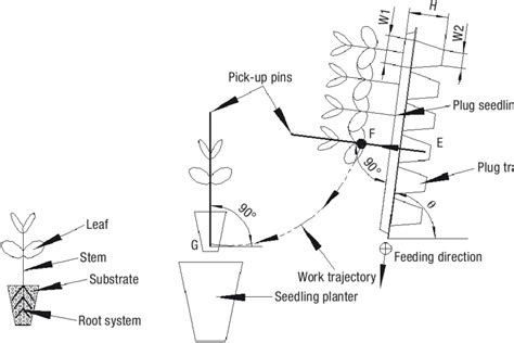 Design Planning Of The Seedling Pick Up Device A Plug Seedling B