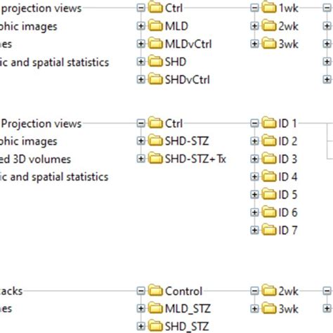 Schematic Illustration Of Data Folder Tree Schematic Illustration Download Scientific Diagram