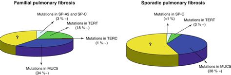 Rare Diffuse Lung Diseases Of Genetic Origin Thoracic Key