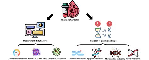 Application Of Cfdnactdna Icons Made By Flaticon Flati Con