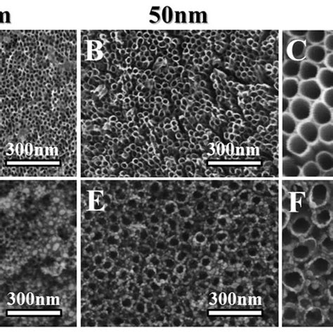 A Tem Image Taken From An Ag Decorated Tio2 Nanotube With The Download Scientific Diagram