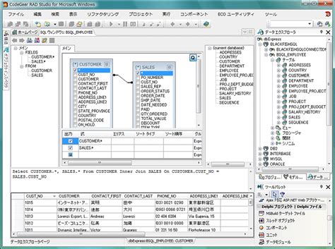 Delphi 2007 Update 3 Westernbit