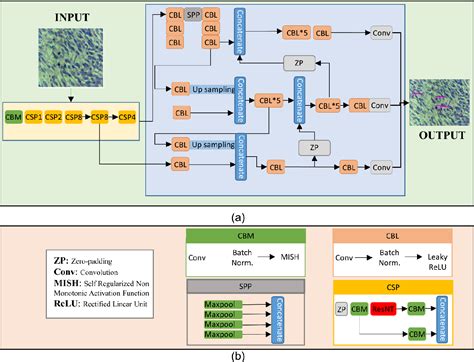 Figure 1 From A Novel Deep Learning Based Mitosis Recognition Approach