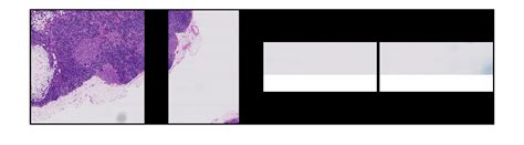 Bigimagedatastore To Be Removed Datastore To Manage Blocks Of