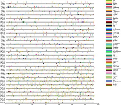 Expression Pattern Of Ofp Genes In Pepper A Roots Developing Roots Download Scientific Expression Pattern Of Ofp Genes In Pepper A Roots Developing Roots Download Scientific