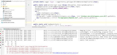 No Opencvimgproc343 In Javalibrarypath · Issue 1 · Ww23blindwatermark · Github