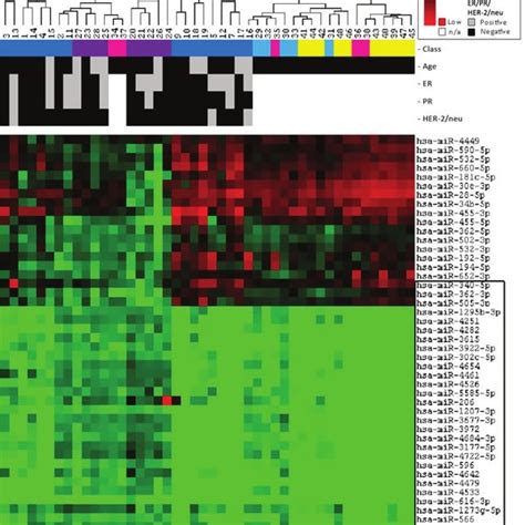Unsupervised Clustering Results Clustering Was Performed On Both All Download Scientific