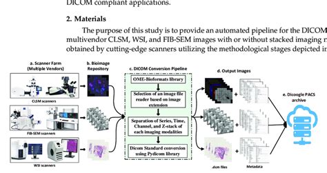 Overview Of The Proposed Pipeline For The Conversion Of Clsm Wsi And