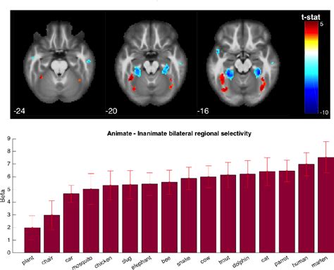 Figure 42 From Using Convolutional Neural Networks To Measure The Contribution Of Visual