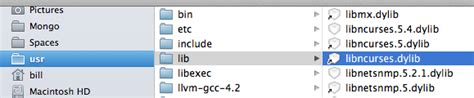 using c dynamic libraries in go programs
