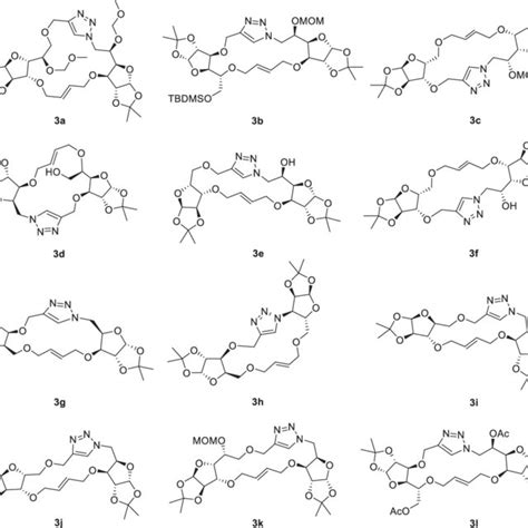 The Structures Of Macrocyclic Lactones Download Scientific Diagram