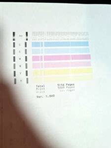 Nozzle Check PDF Color Test Page