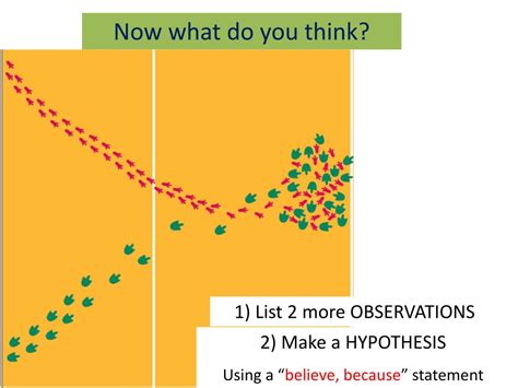 Ppt Inquiry What Is The Difference Between An Observation And A Hypothesis Inference