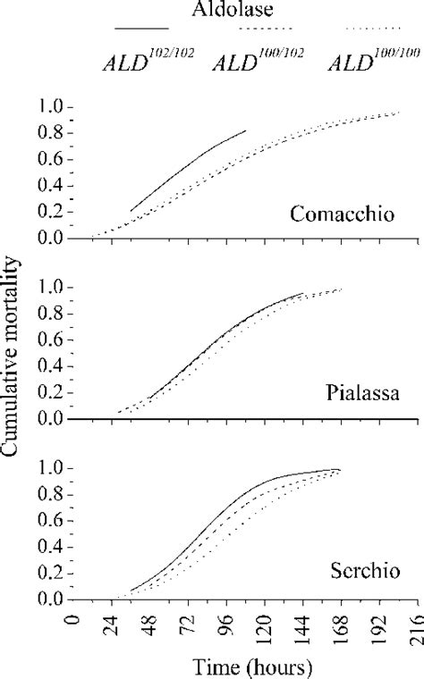 Estimated Mortality Curves Of Specimens With Different Ald Genotypes Download Scientific