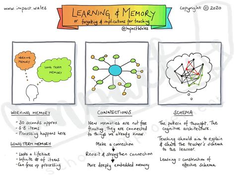 The Four Stages Of Learning Memory In An Art Class The Four Stages Of Learning Memory In An Art Class