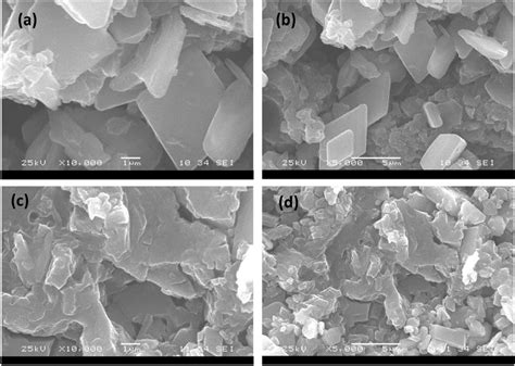 Sem Micrographs For Go Ziziphus Seeds Ab Before Cd After
