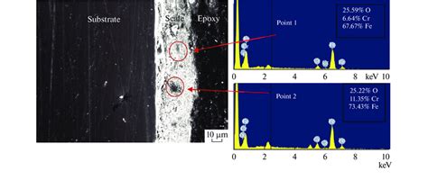 Cross Sectional Sem Micrograph Along With Eds Analysis Wt Of
