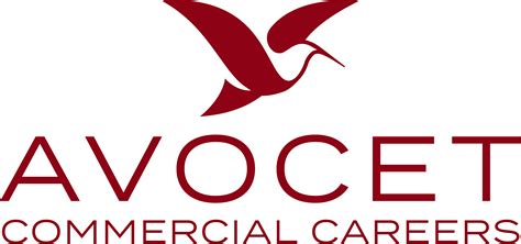 Avocet Commercial Careers Professional Office Recruiters