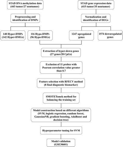 The Workflow For Identification Of Stad Diagnostic Biomarkers Download Scientific Diagram