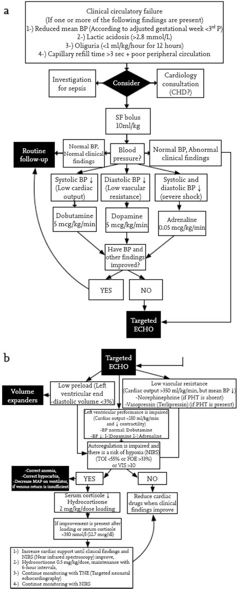 Neonatal Hemodynamics And Management Of Hypotension In Newborns Pmc