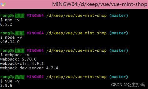vue init webpack 项目初始化失败 vue init webpack失败 csdn博客