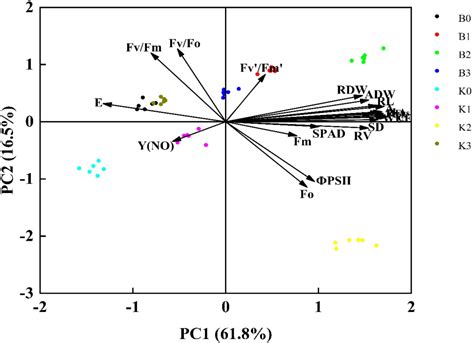 Figure 6 From Effects Of Bacillus Subtilis On Cucumber Seedling Growth And Photosynthetic System