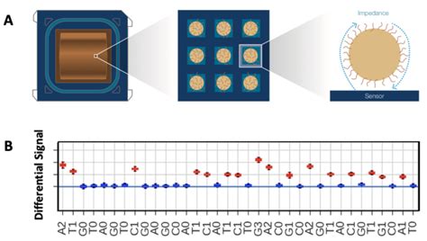Sequencing Chip And Raw Data A The CMOS Sequencing Chip Contains