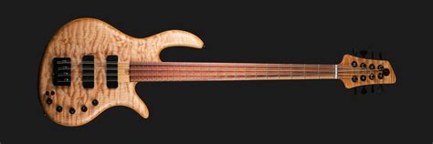 Pre Owned Elrick Evo Custom 8 String Bass Buddha