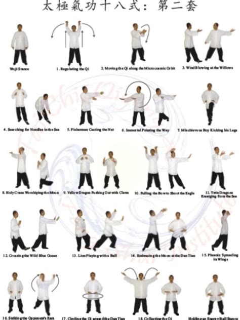 Tai Chi Qigong Shibashi Set 2 Poster Artofit
