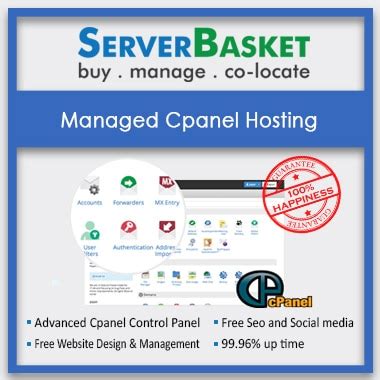 VPS Hosting Cpanel SEO Hosting At A Low Price In India At Best Price Serverbasket