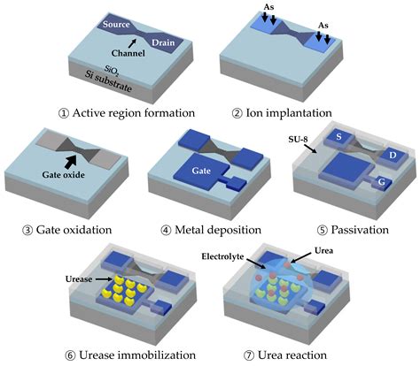 Micromachines Free Full Text Influence Of Surface Treatments On Urea Detection Using Si