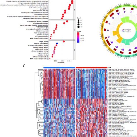 Development And Validation Of Coagulation Related Genes Predictive