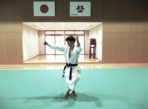 André Bertels Karate Do Koryu Karate Highlighted By Hikite