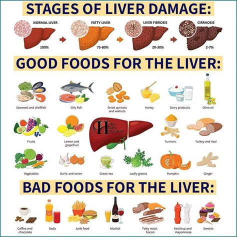 How To Reverse Fatty Liver With Keto Artofit