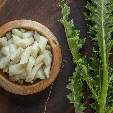 Foraging And Cooking Thistles Spring Vegetables Vegetable Sides
